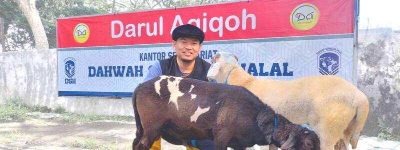 Domba Dorper , jenis komposit yang sangat menguntungkan peternak ...
